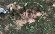 Holiday activities and food (HAF) | Public Health Blackpool Council