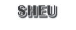 SHEU Survey | Public Health Blackpool Council